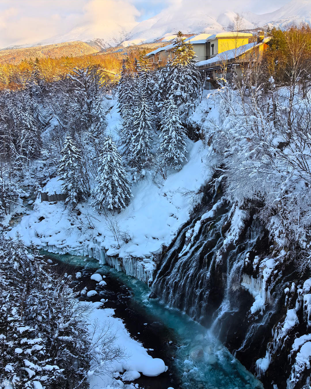 [Hokkaido Summer Internet Celebrity Check-in] Patchwork Road Seven Star ...